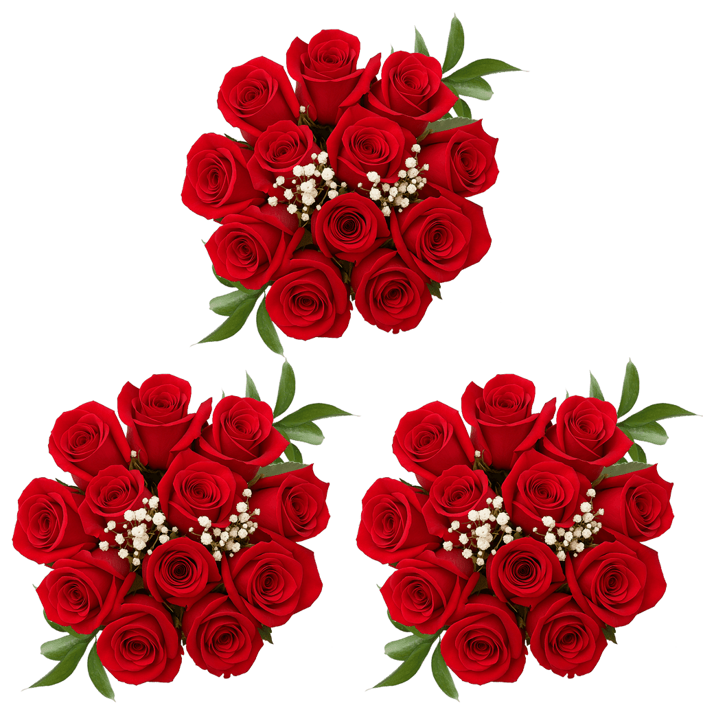 Walmart Real Cut Rose Bouquets - Long Stem 3 Dozen Red Roses with Baby ...