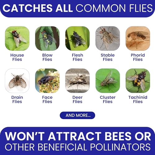 3 Fly Traps Outdoor Fly Trap for Patio with 6 Non-Toxic Dissolvable ...