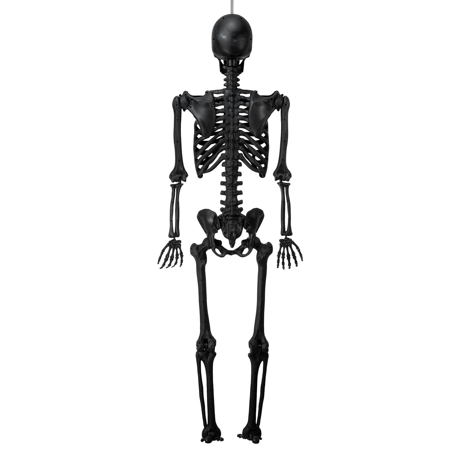 3 Ft Life Size Skeleton Decoration, Posable Full Body Human Skeleton ...