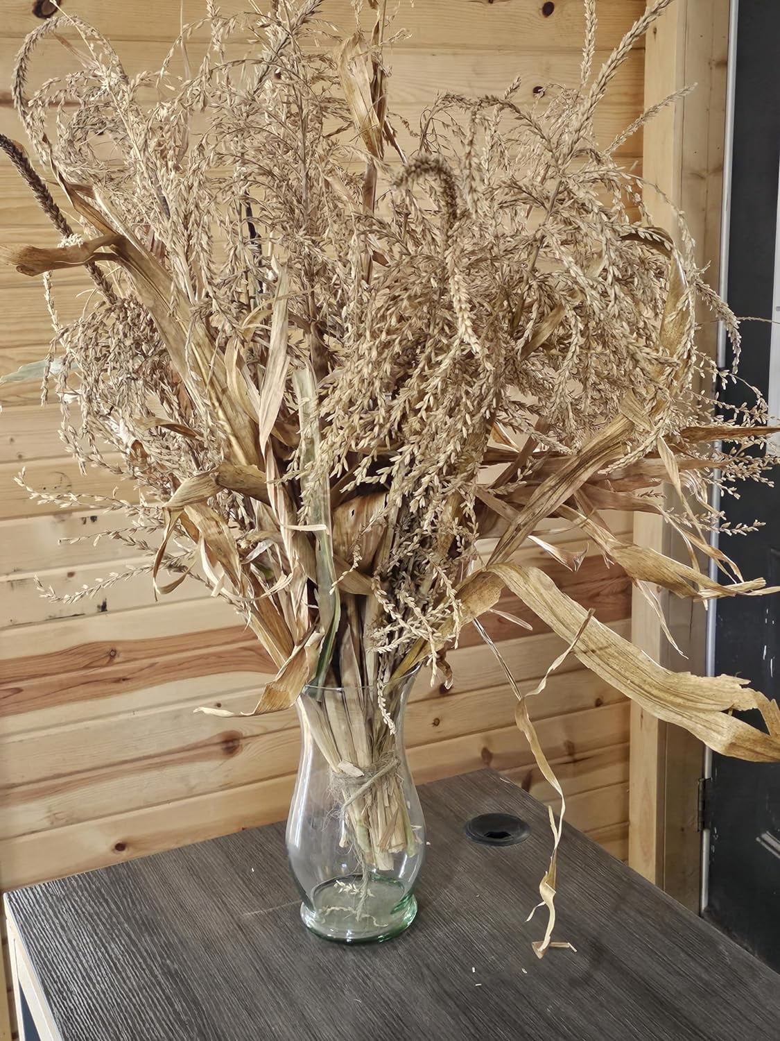 3 Ft Tall Mini Dried Corn Stalk Bundle for Decor or Display - Vase ...