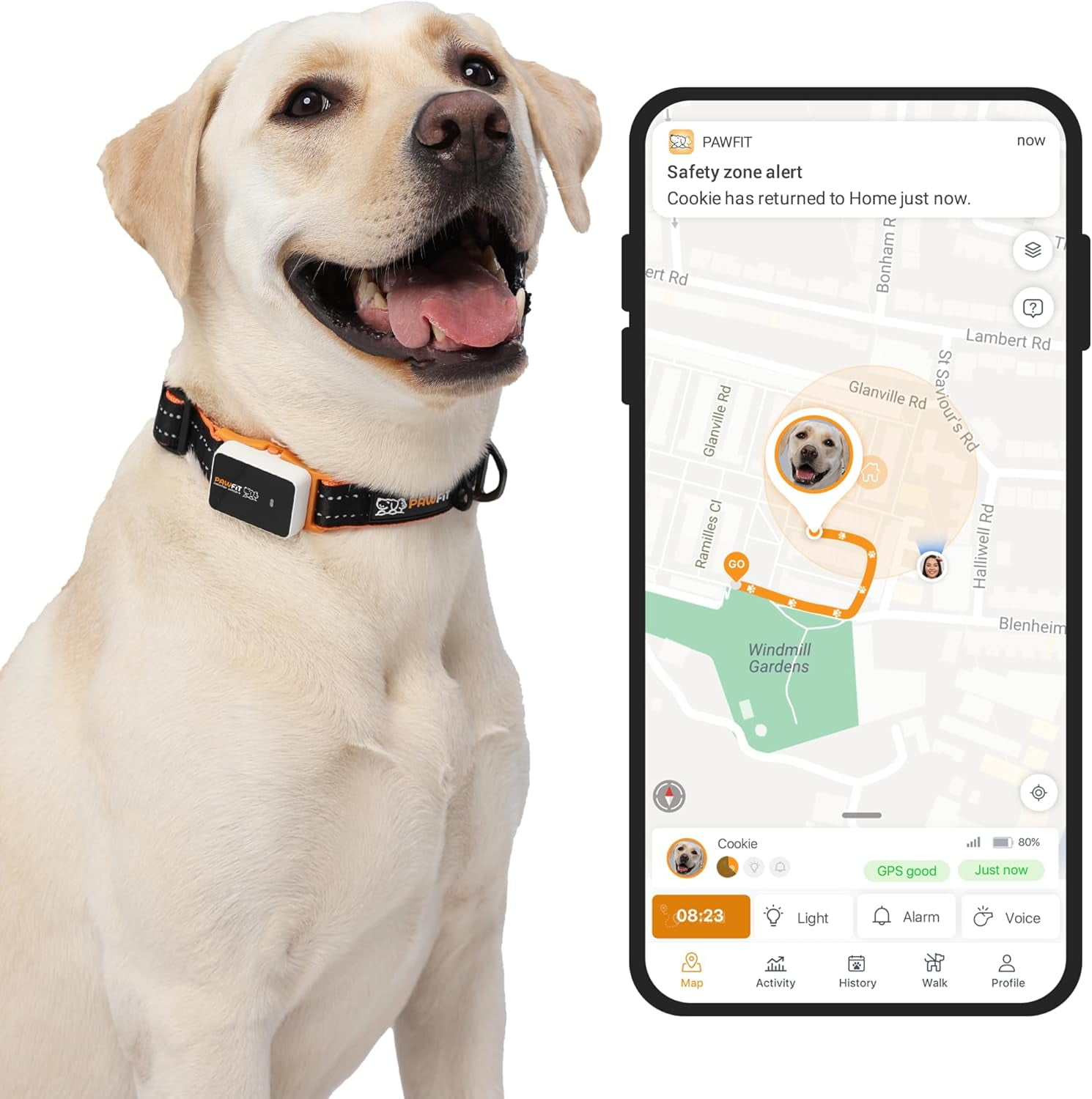 3 GPS Pet Tracker GPS Dog Tracker 4G Live Tracking, Smart Alerts, Fully ...