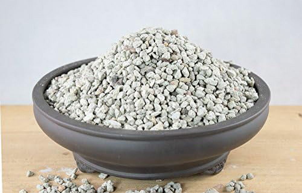 3 Gal. 3/16" Small Grain Horticultural Pumice for Cactus & Succulent ...