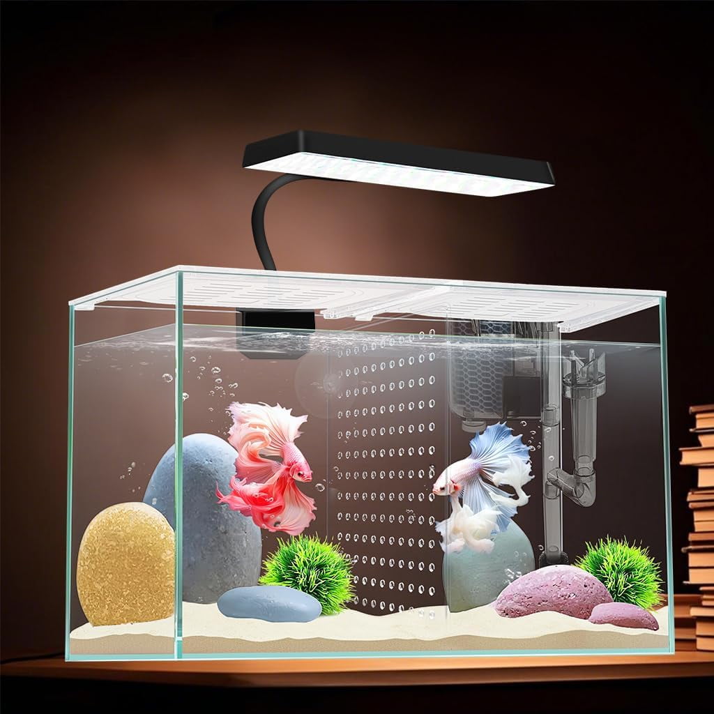 The 3 Gallon 12.6" L Fish Nano Glass Aquarium, with Separator Plate for ...