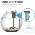 3-Gallon Aquarium Starter Kit - Walmart.com