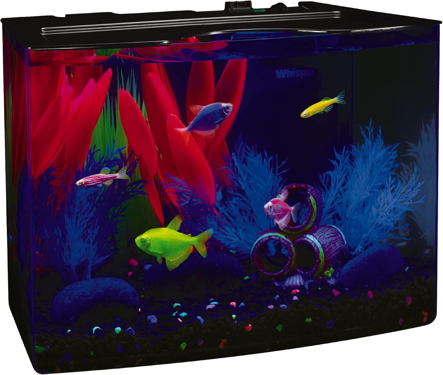 3-Gallon Crescent Aquarium Kit with Hidden Blue LED Light and Internal ...