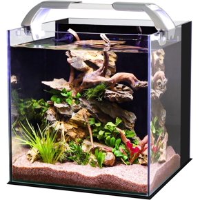 5 Gallon Fish Tank in Fish Tanks - Walmart.com