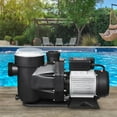 3 HP Single Speed Above Ground Pool Pump 149 GPM 3450 RPM 220V - High ...
