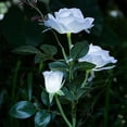 3-Head Rose Flower Solar Light Outdoor Decorative Lamp Stainless Steel ...