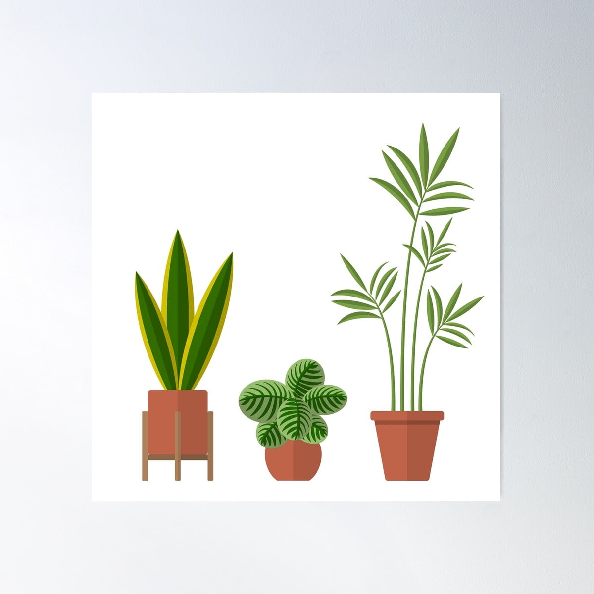 3 Illustrated House Plants Poster Wall Art, Modern Wall Decor For ...