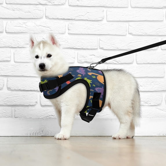 3 In 1 Pet Harness Collar Leash Set, Dark Blue Cartoon Dinosaur Rainbow ...
