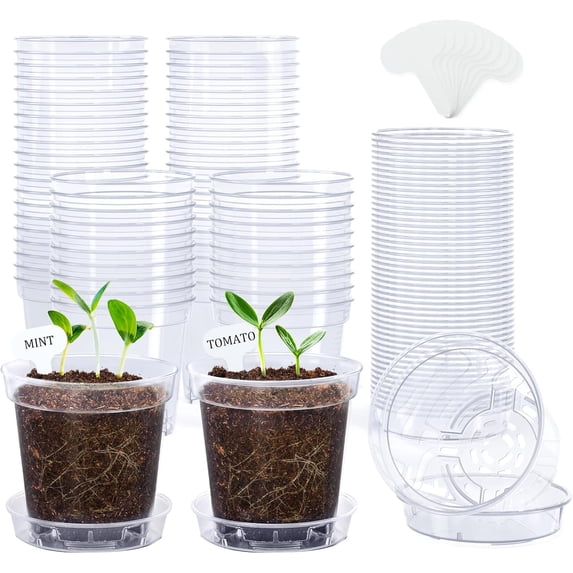3 Inch Clear Nursery Pots 60 Pack with Drainage and Plant Saucers ...