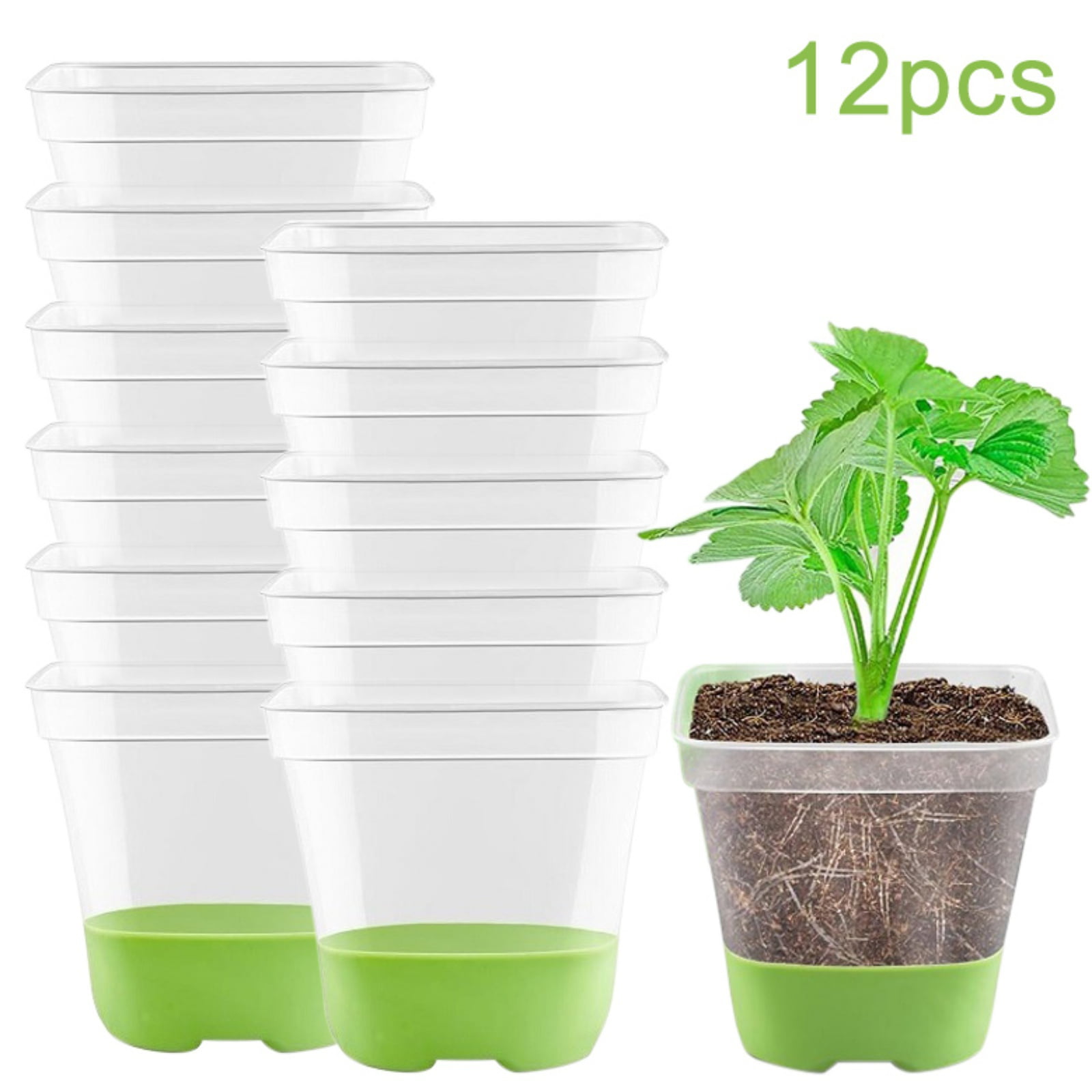 3 Inch Clear Nursery Pots with Reinforced Silicone Base for Easy ...