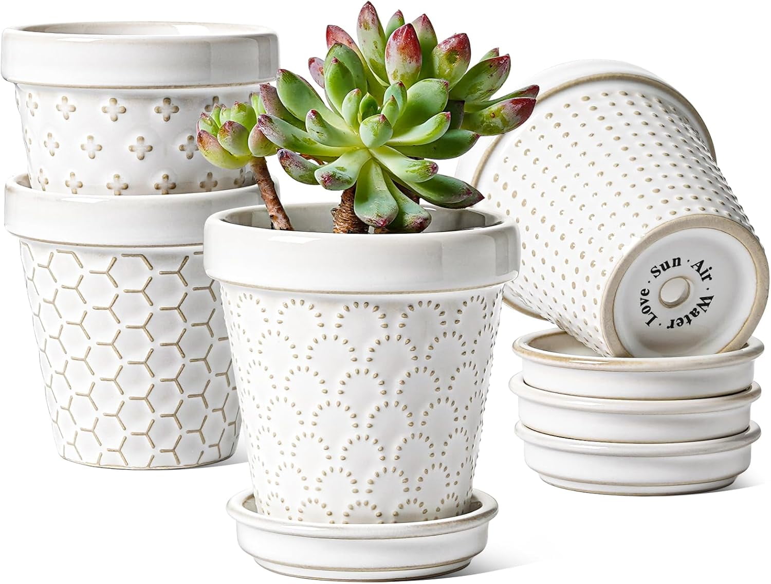 3 Inch Mini Succulent Pots - Very Small Ceramic Planter with Saucer ...