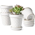 3 Inch Mini Succulent Pots - Very Small Ceramic Planter with Saucer ...