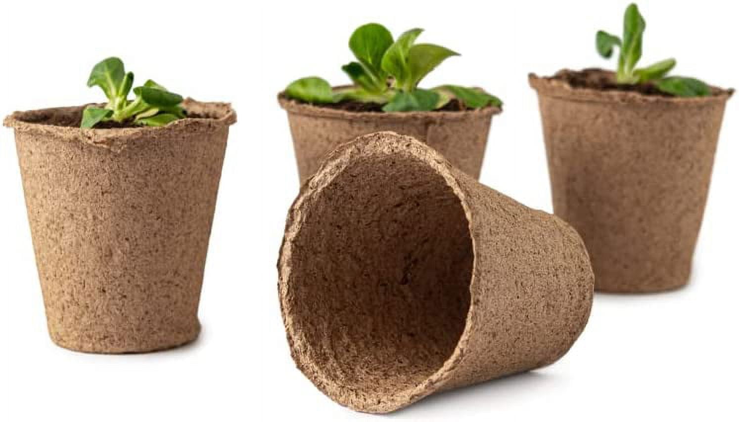 3 Inch Starter Pots - 20 Pack of Biodegradable Containers - Herbs ...
