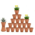 3 Inch Terra Cotta Pots with Drainage - 20 Pack Clay Flower Pots ...