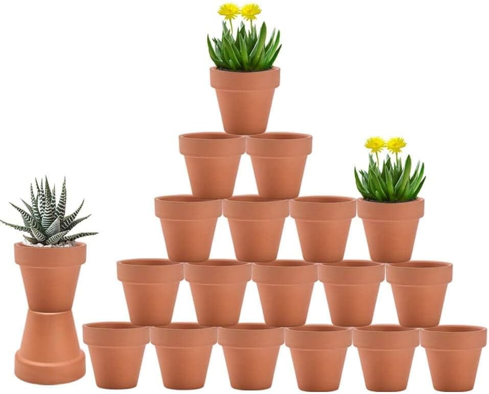 3 Inch Terracotta Pots