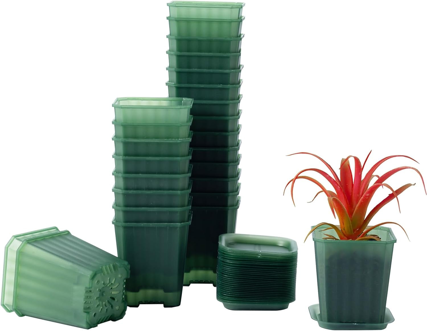 3 Inch Transparent Green Nursery Pots, 30 Pcs Thick Plastic Plant Pot ...