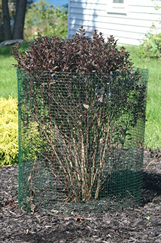 3 Large Fold-Away Bush Plant Protectors Supports (Vinyl Coated Wire ...