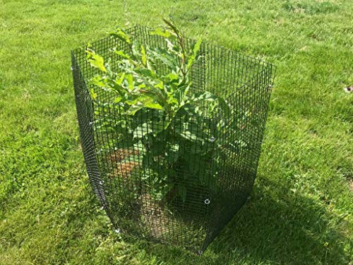3 Large Fold-Away Bush Plant Protectors Supports (Vinyl Coated Wire ...