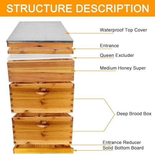 3-Layer Bee Hive Without Frames, Beehive Kit Langstroth Bee Hive Coated ...
