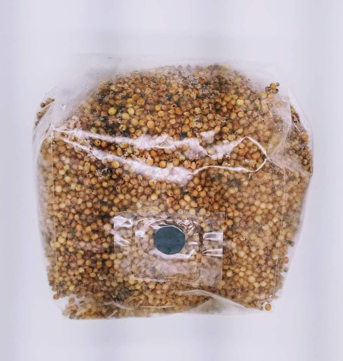 3 Lb Sterilized Grain Bag with Injection Port (Milo) - Make Your Own ...