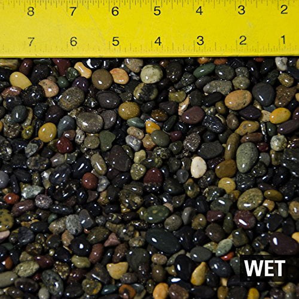 3 Lbs. Beach Pebbles for Bonsai Tree Humidity Tray and Lucky Bamboo ...