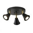 3-Light Industrial Directional Track Lighting, Adjustable Round Ceiling ...
