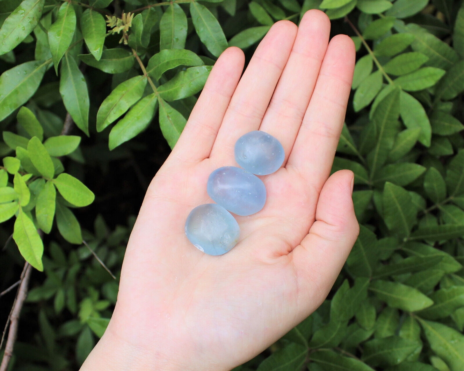 3 Medium Blue Celestite Tumbled Stones (Crystal Healing Rare Gemstone ...