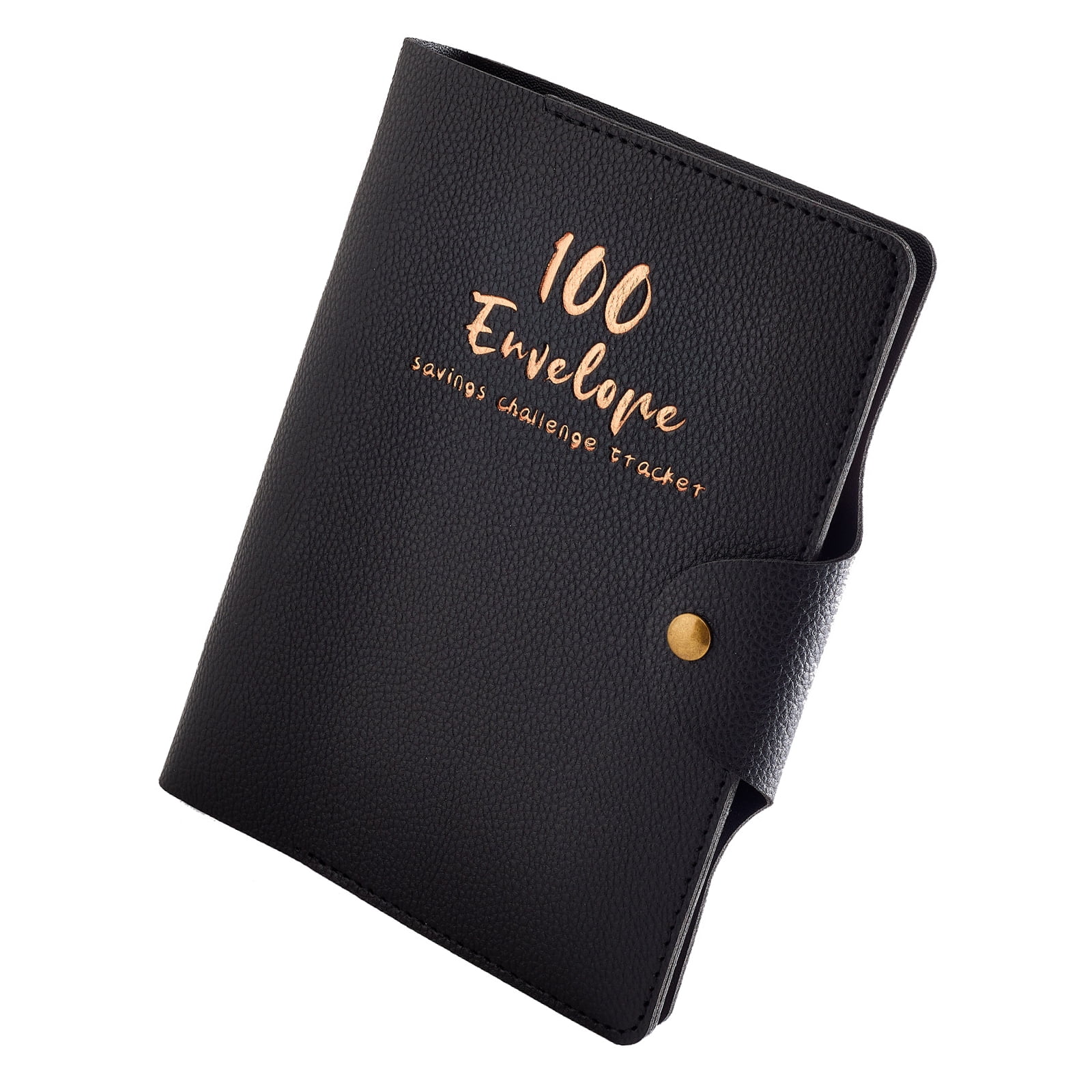 3. Multifunctional Finance Binder: 100-Day Savings With Customizable ...