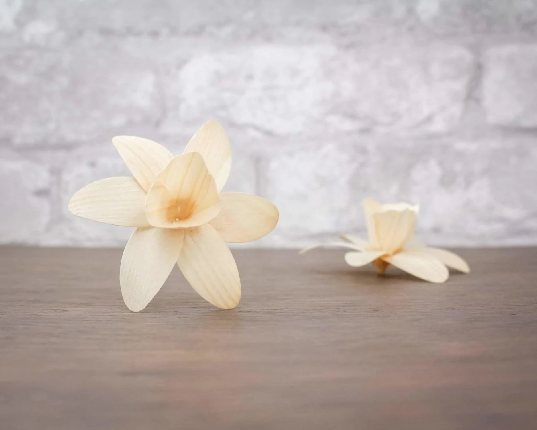 3" Natural Daffodil (10 Pack) - Walmart.com