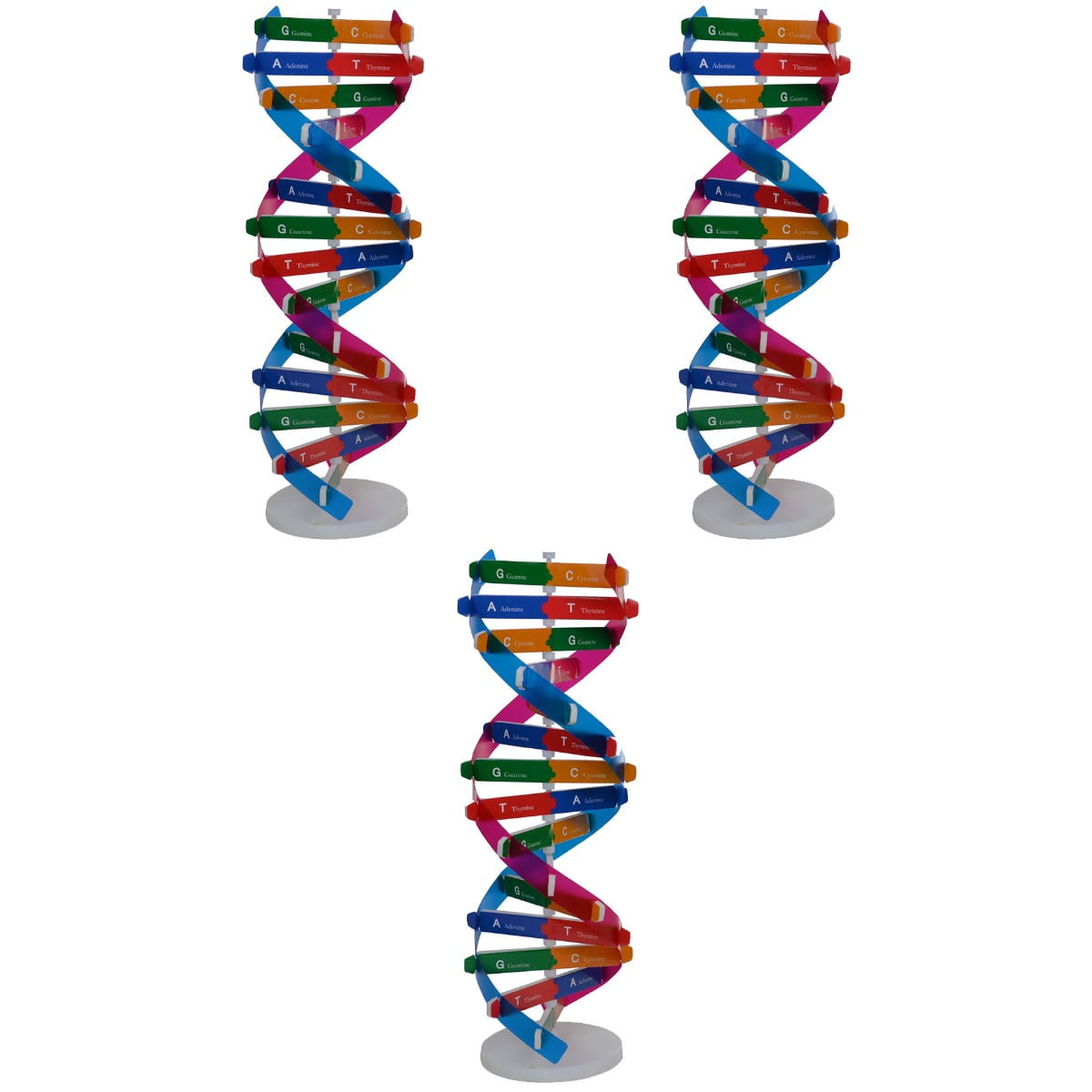 3 PCS Double Helix Model School Educational Toy Child - Walmart.com