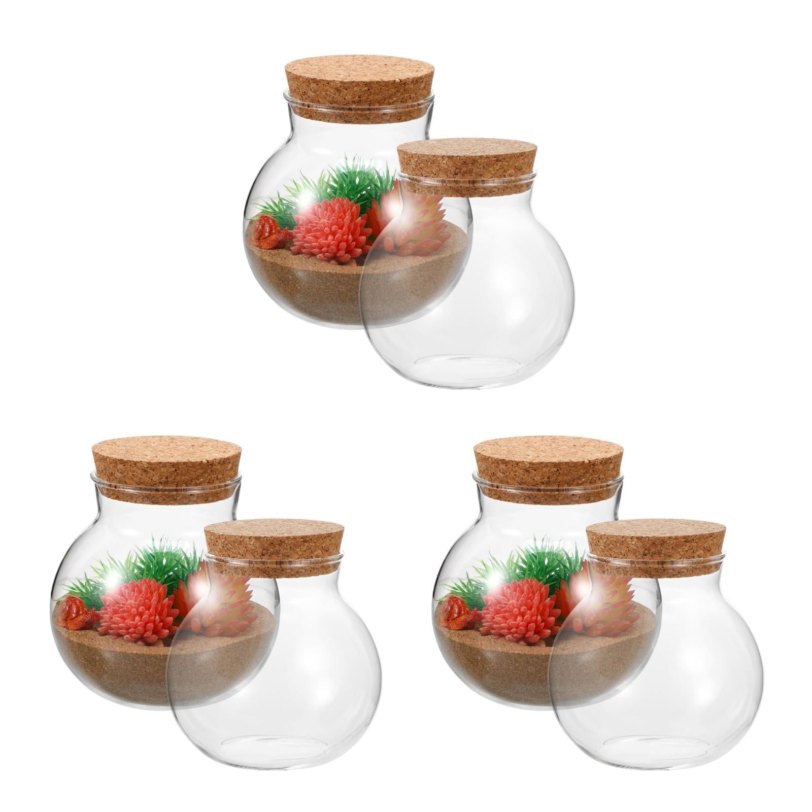 3 PCS Eco Bottle Plants Ecosystem Fish Tank Indoor Flower Pot Vases ...