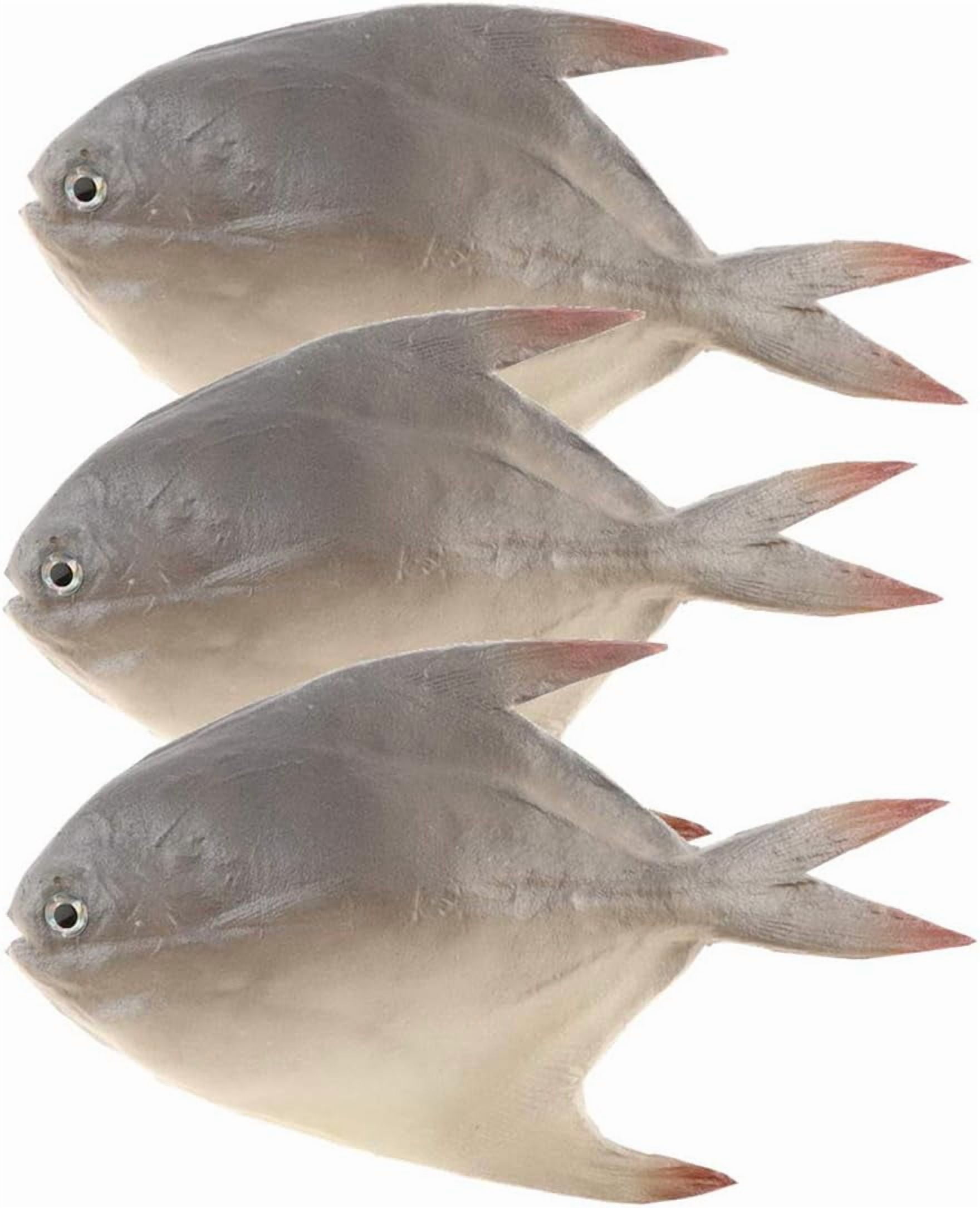 3 PCS Fake Wall Hanging Fish Decoration Artificial Pomfret Lifelike ...