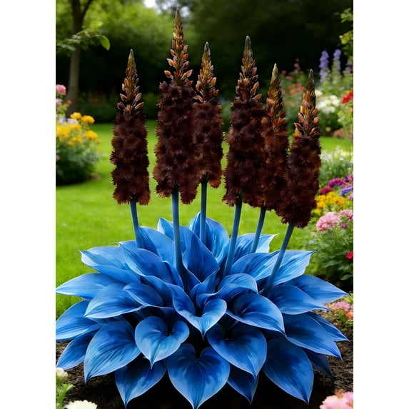 3 PCS - Hosta-Garden Stakes Planting-(hosta for planting ) -Christmas ...