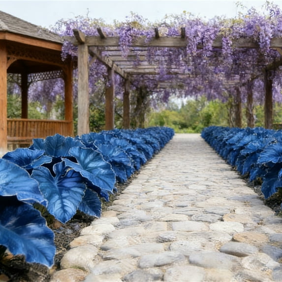 3 PCS - Hosta-for sale-Garden Stakes Planting-(hosta for planting ...