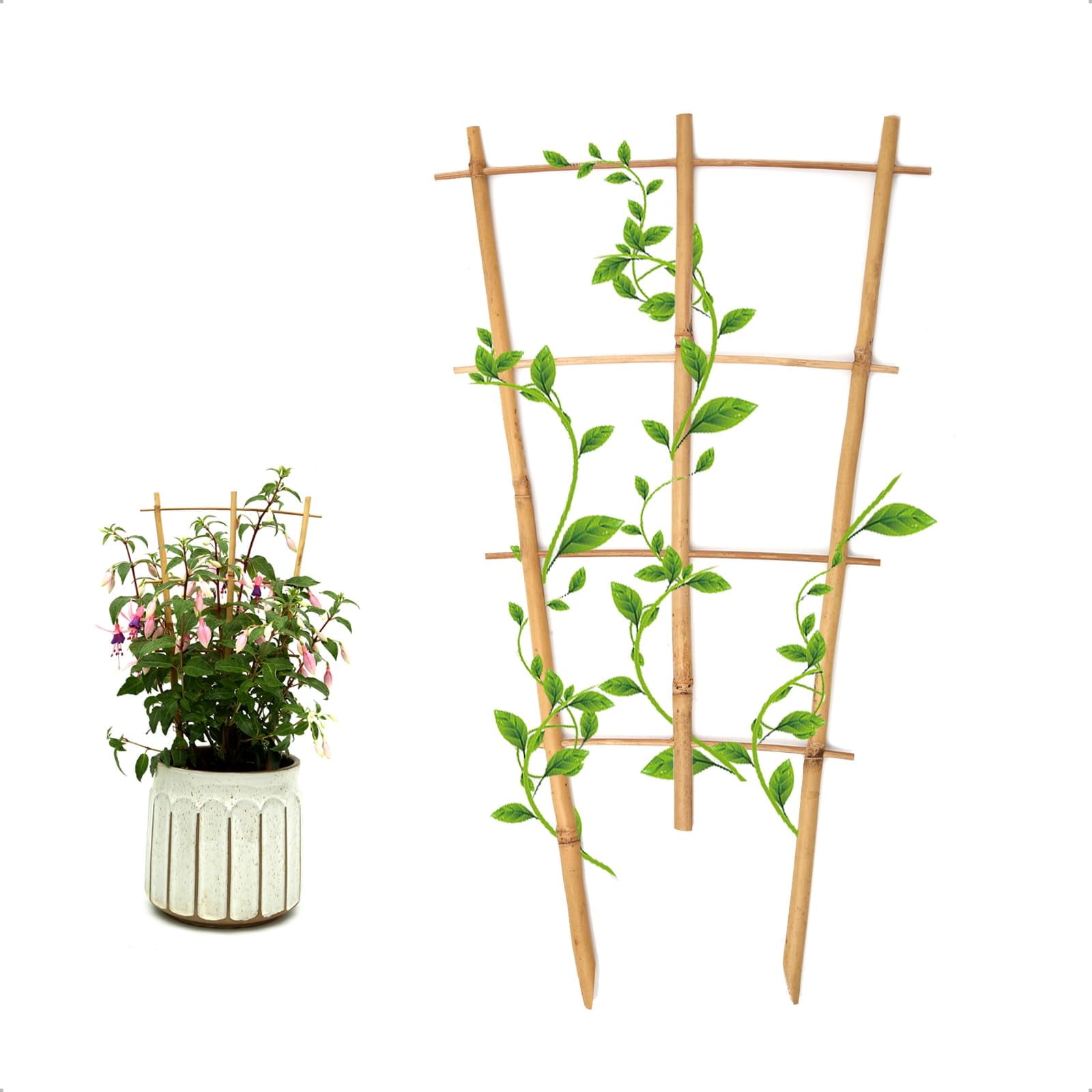 3 Pack 16 Inch Bamboo Trellis, Fan Shape Small Plant Support for Indoor ...