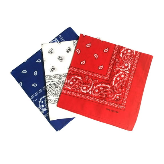 3 Pack 21 inch Multi-Purpose Square Scarf Head Wraps Cotton Paisley ...