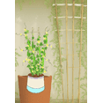 3 Pack 4 Feet Fan-Shaped Plant Trellis, Support for Climbing , Indoor ...