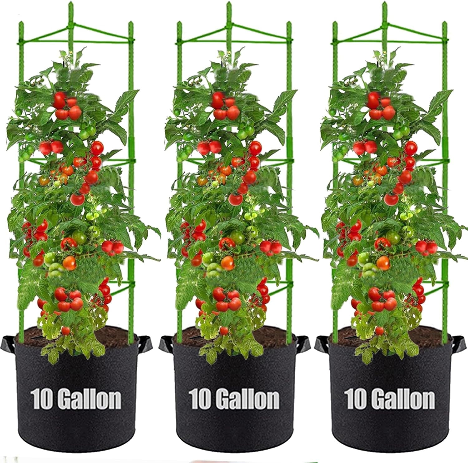 3-Pack 48” Tomato Cages with 10-Gallon Grow Bags – Sturdy Plant ...