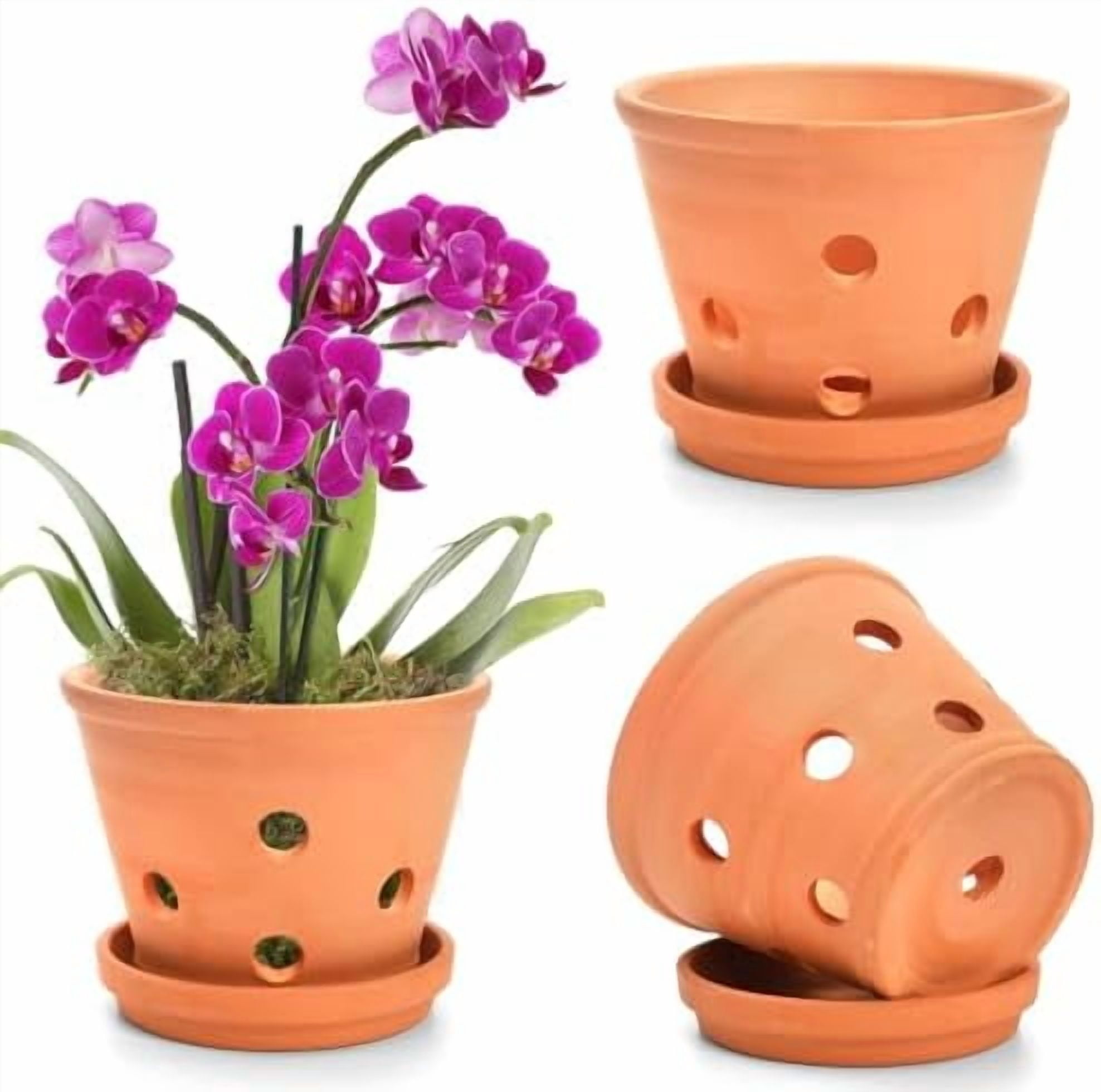 3 Pack 6 Inch Terracotta Orchid Pots with Holes and Saucers, Small Clay ...