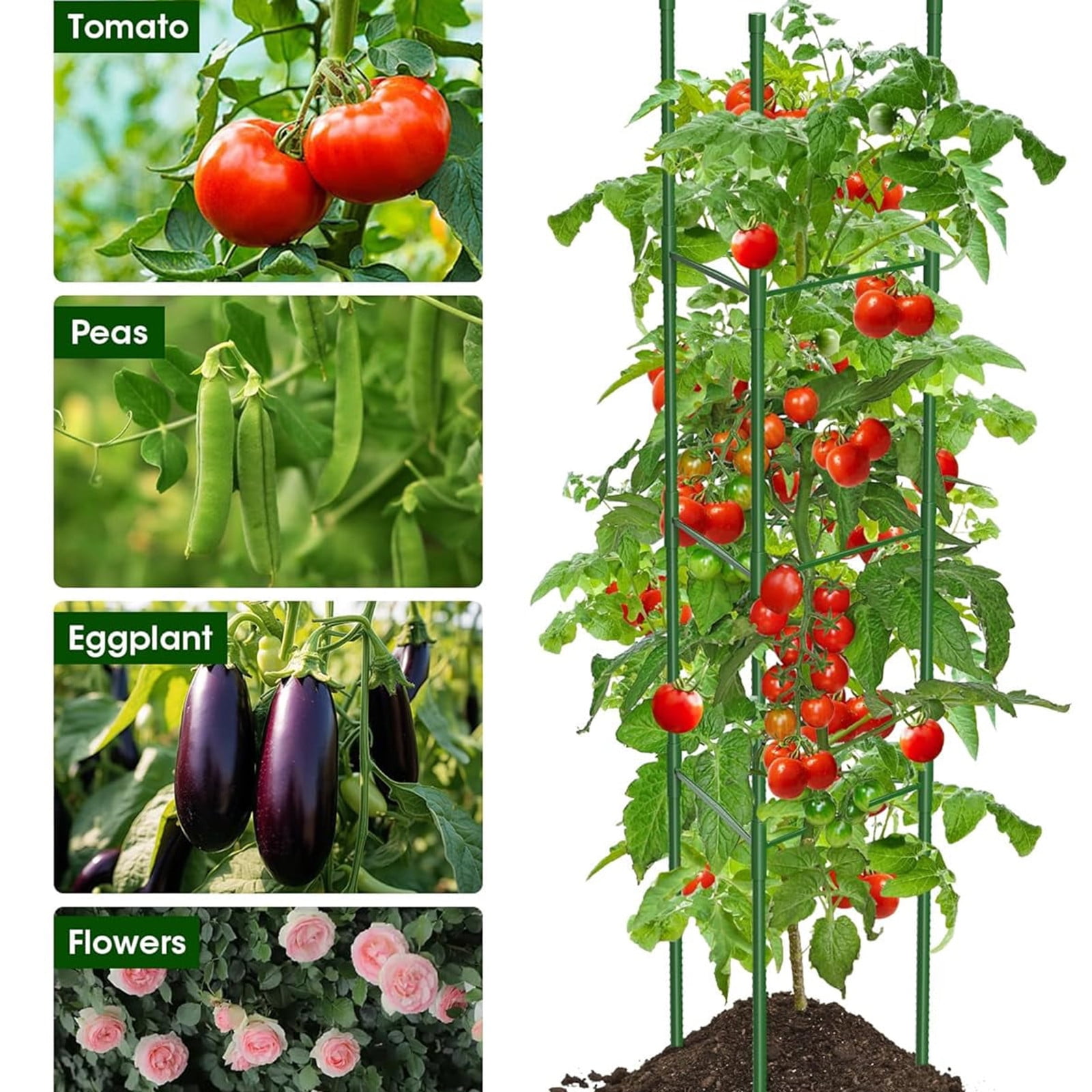 3 Pack Adjustable Tomato Cage, Vegetable Stakes for Garden, Garden ...