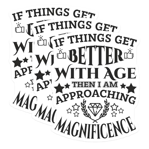 (3 Pack) Approaching Magnificence Decals - Funny Aging Saying - Better ...