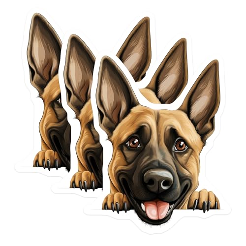 (3 Pack) Belgian Malinois Decals - Dog Breed Decals - Laptop Decal - 3 ...