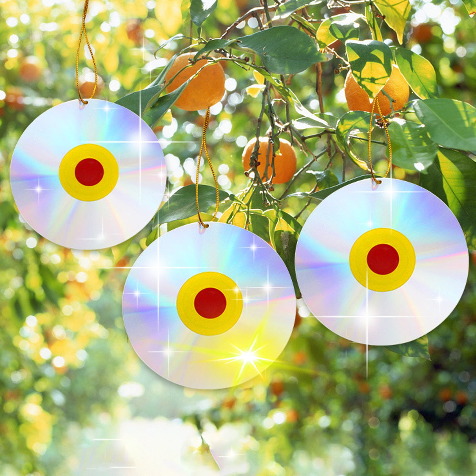 3 Pack Bird Repellent Discs – Outdoor Bird Deterrent for Garden, Patio ...