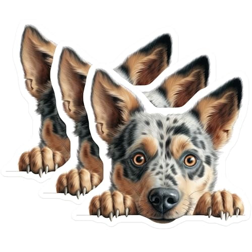 (3 Pack) Blue Heeler Decals - Laptop Decals - Dog Breed Stickers - 3 ...