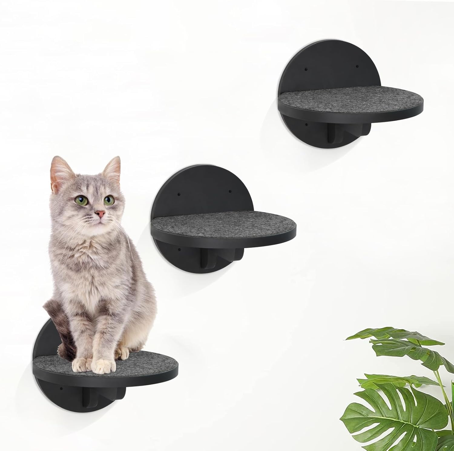3-Pack Cat Climbing Shelves with Scratching Pad and Wall Mount for Cats ...