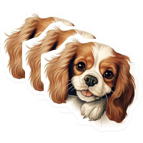 (3 Pack) Cavalier Spaniel Decals - Cute Dog Laptop Stickers - Pet Lover ...