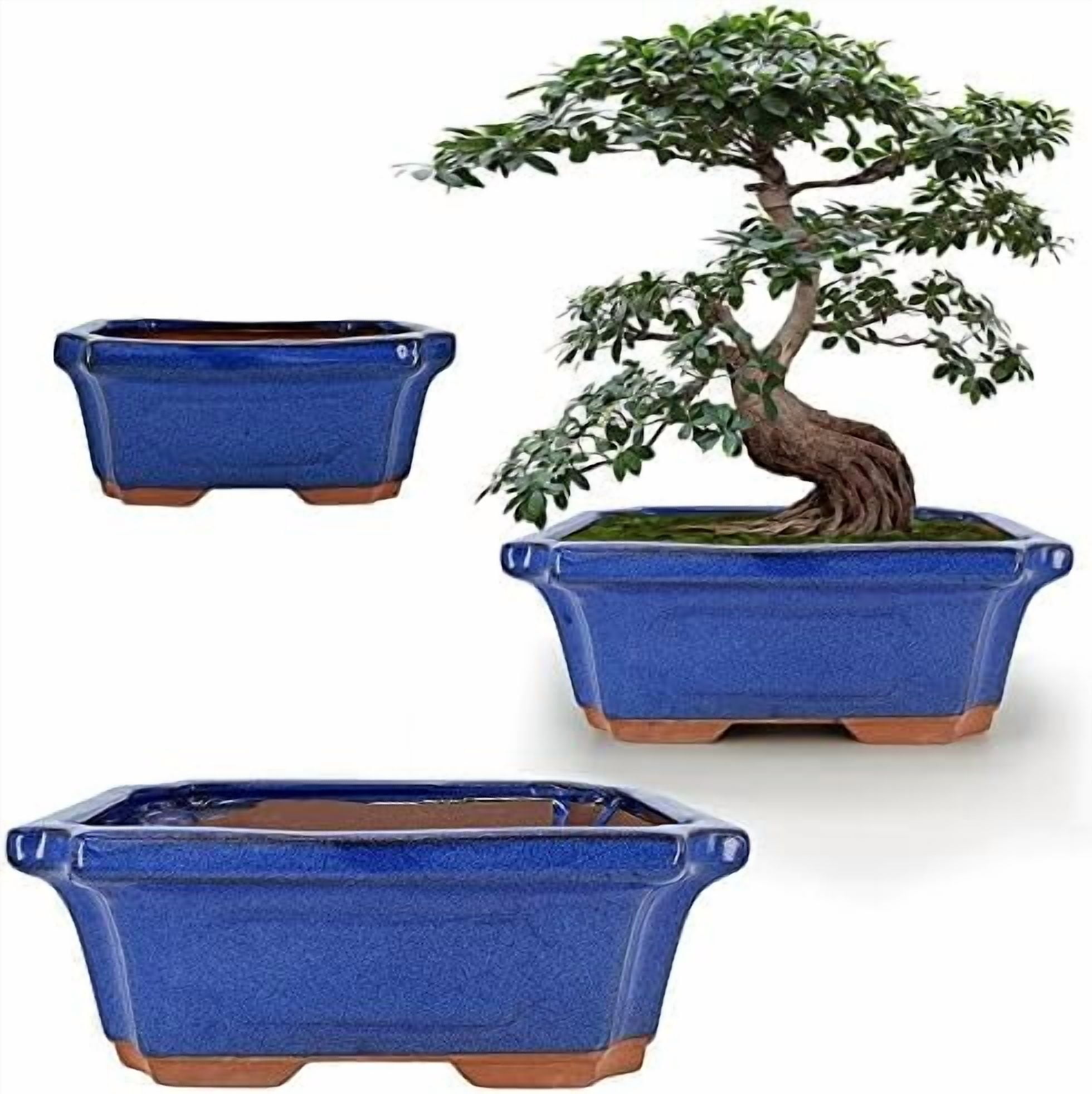 3 Pack Ceramic Rectangular Bonsai Tree Planter Pot Set 6”+7”+9”, Cactus ...