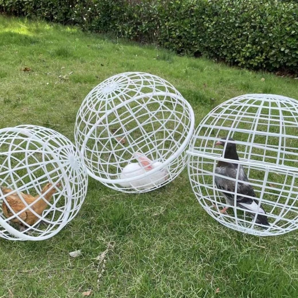 3 Pack Chicken Ball Cage Rolling, Poultry Enclosure Round PVC Hutch ...